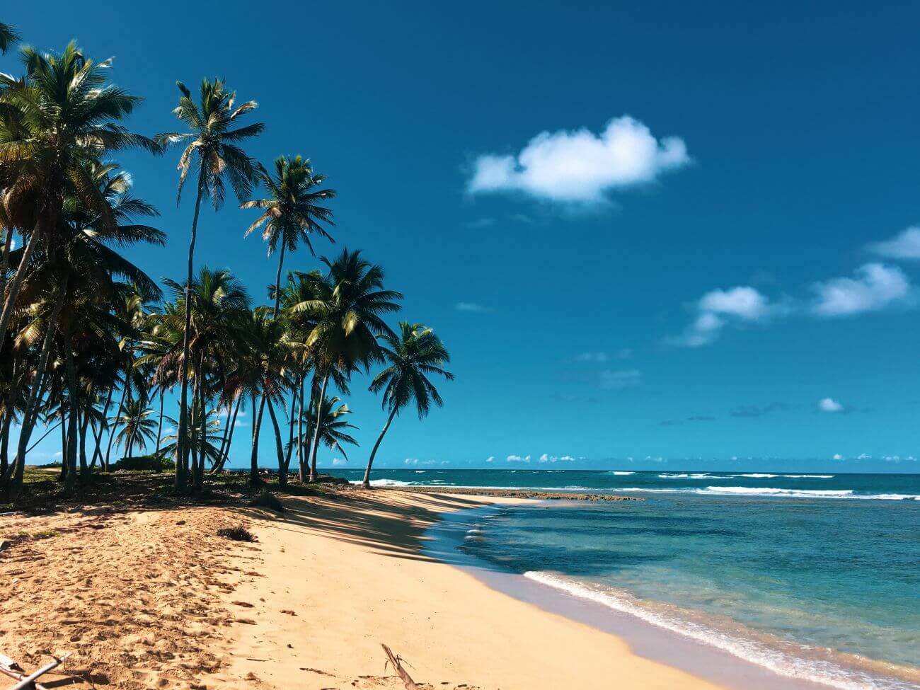 Dominikana – atrakcje. Co warto zobaczyć? - Travelers