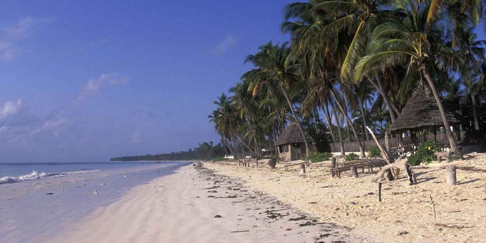 Czym urzeka Michamvi? Zanzibar dla koneserów - Travelers