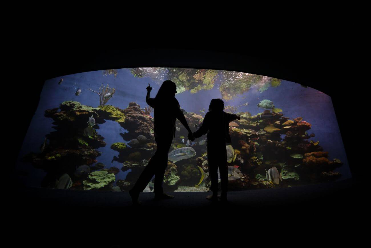 Łeba – atrakcje. Co warto zobaczyć w okolicy? - Travelers